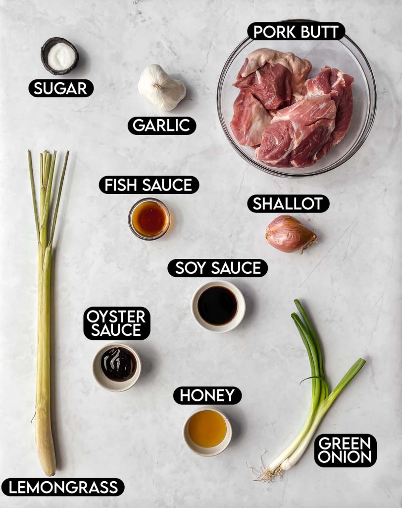 Thit Nuong (Vietnamese Pork Skewers) - Balance With Jess