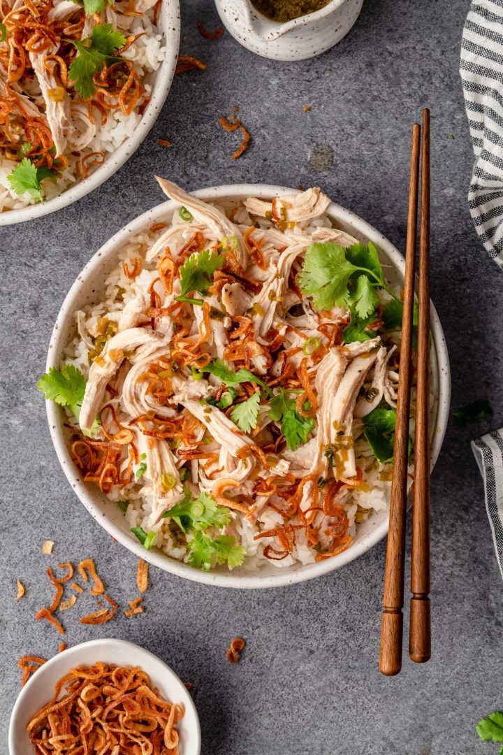 Taiwanese Turkey Rice - Balance With Jess