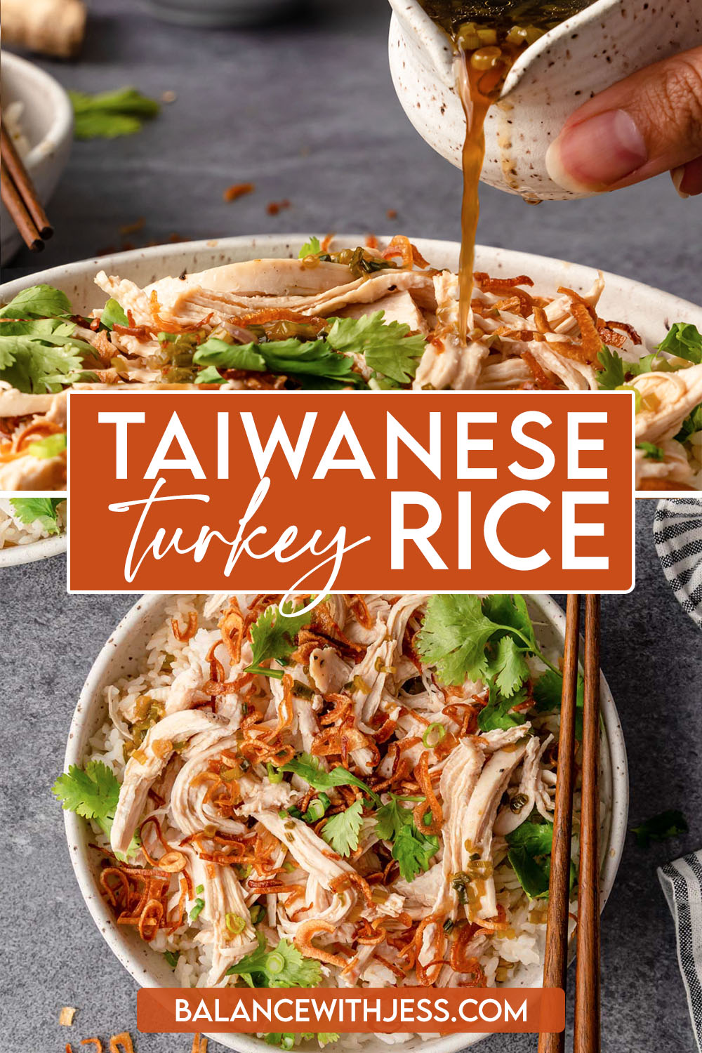 Taiwanese Turkey Rice - Balance With Jess