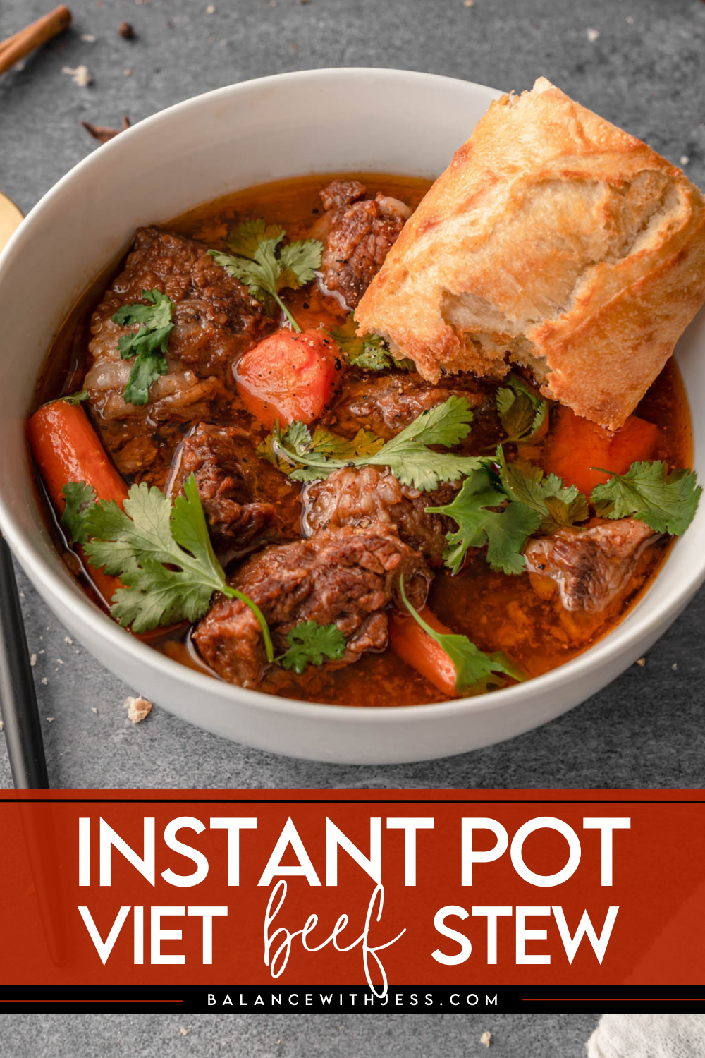 Instant Pot Bo Kho (Vietnamese Beef Stew)