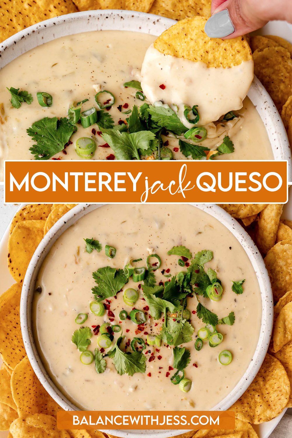 Monterey Jack Queso - Balance With Jess